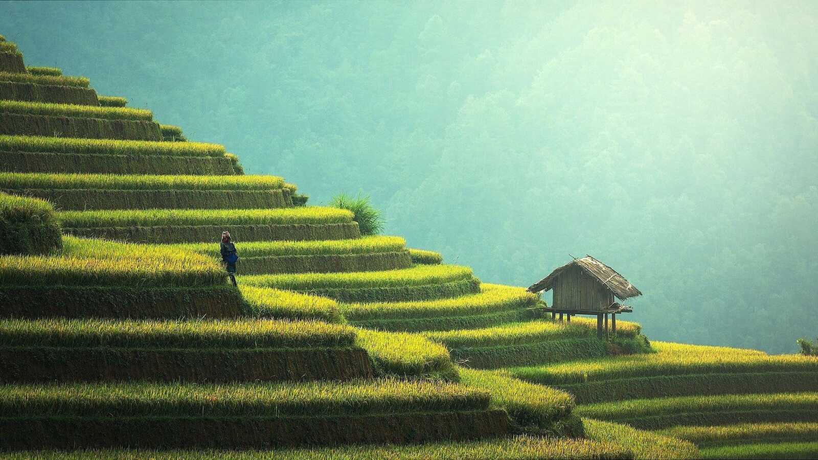 Bali Wallpapers (108 images) - WallpaperCat