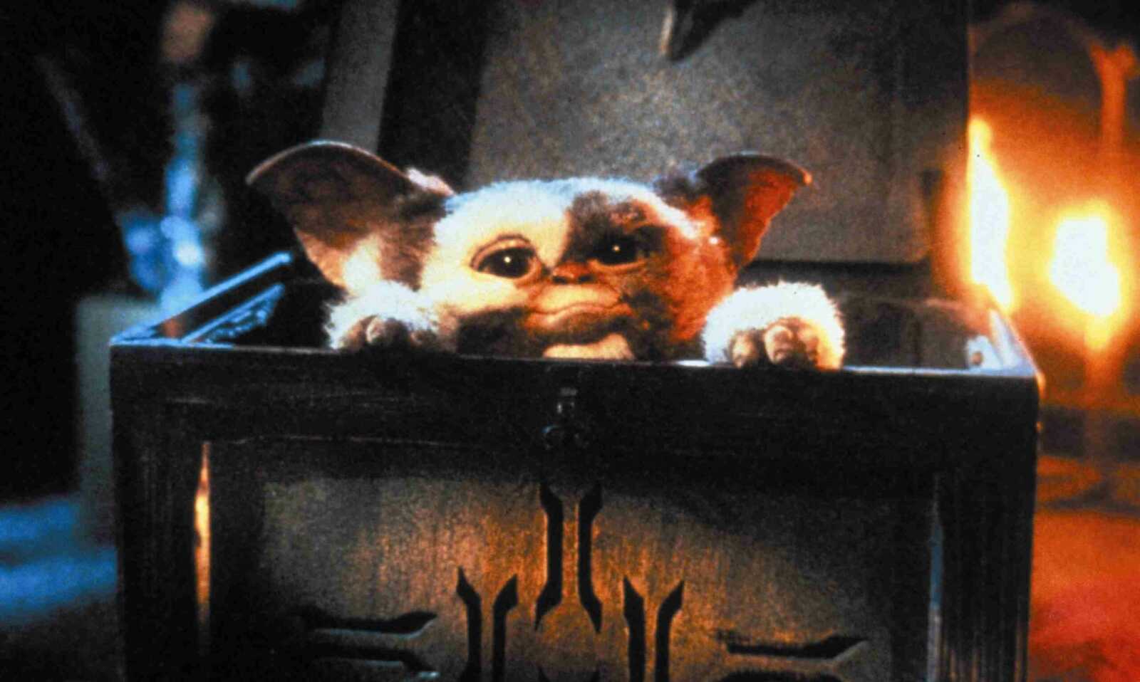 Gremlin Wallpapers (28 images) - WallpaperCat
