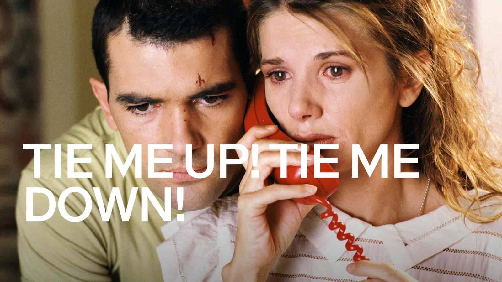 Pedro Almodovar Wallpapers (64 images) - WallpaperCat