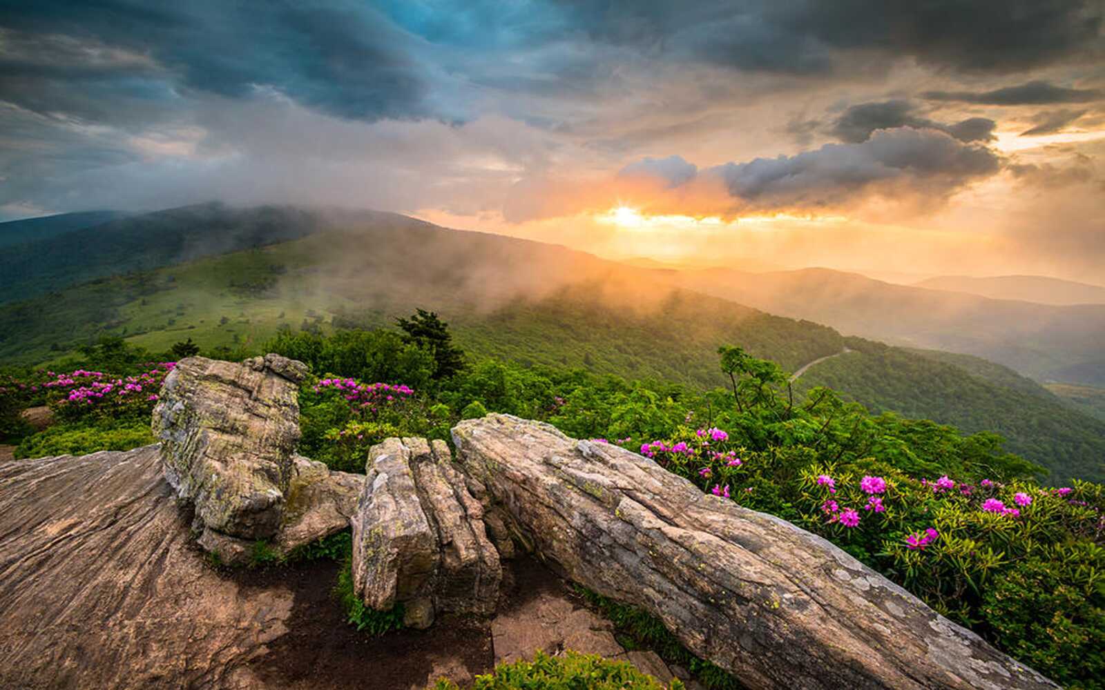Tennessee Wallpapers (25 images) - WallpaperCat