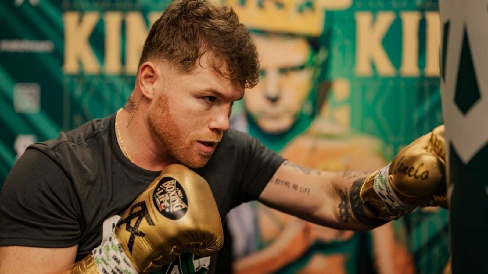 Canelo Alvarez Wallpapers (26 images) - WallpaperCat