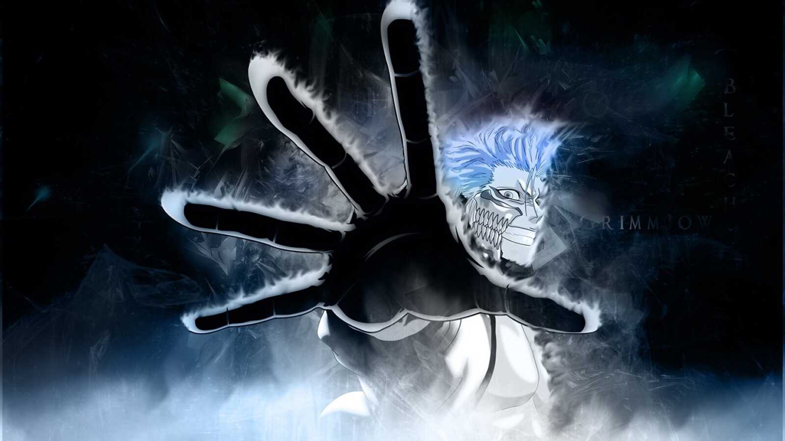 Grimmjow Jaggerjack Wallpapers (29 images) - WallpaperCat