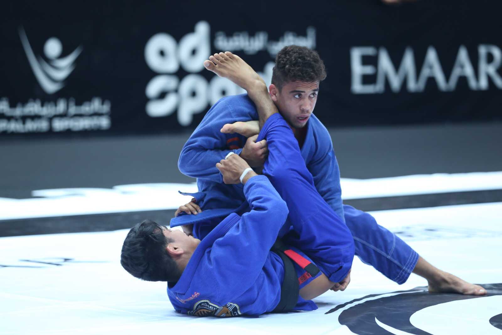 Jiu-jitsu Wallpapers (22 images) - WallpaperCat