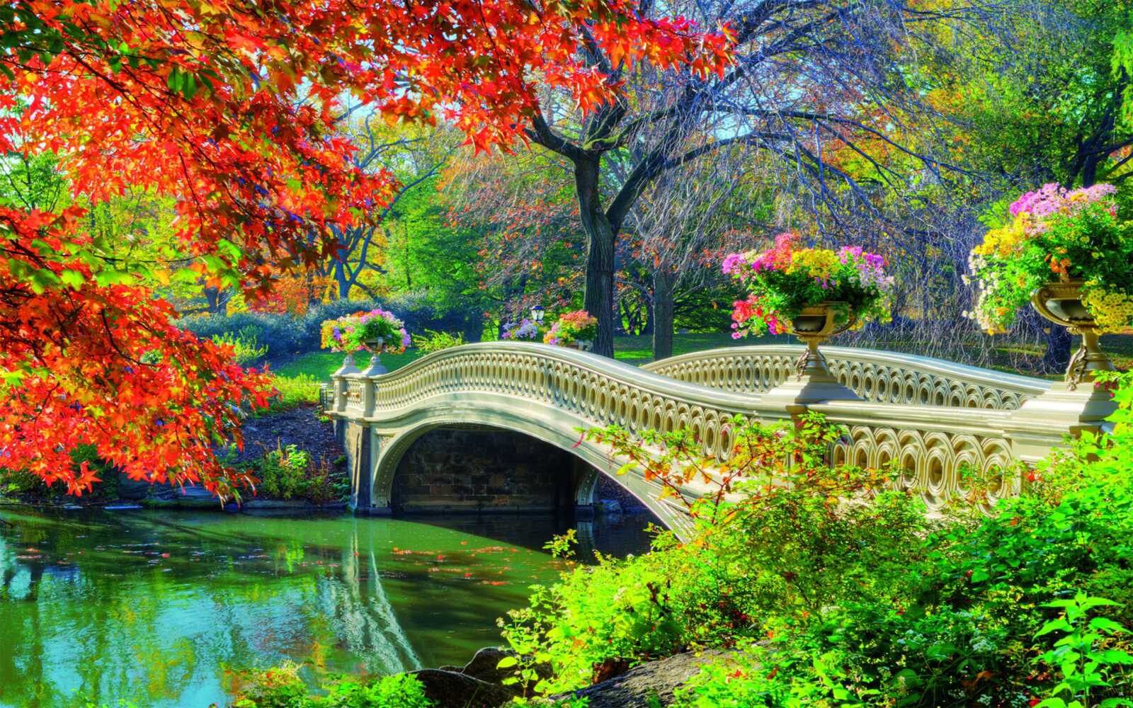 Park Wallpapers (32 images) - WallpaperCat