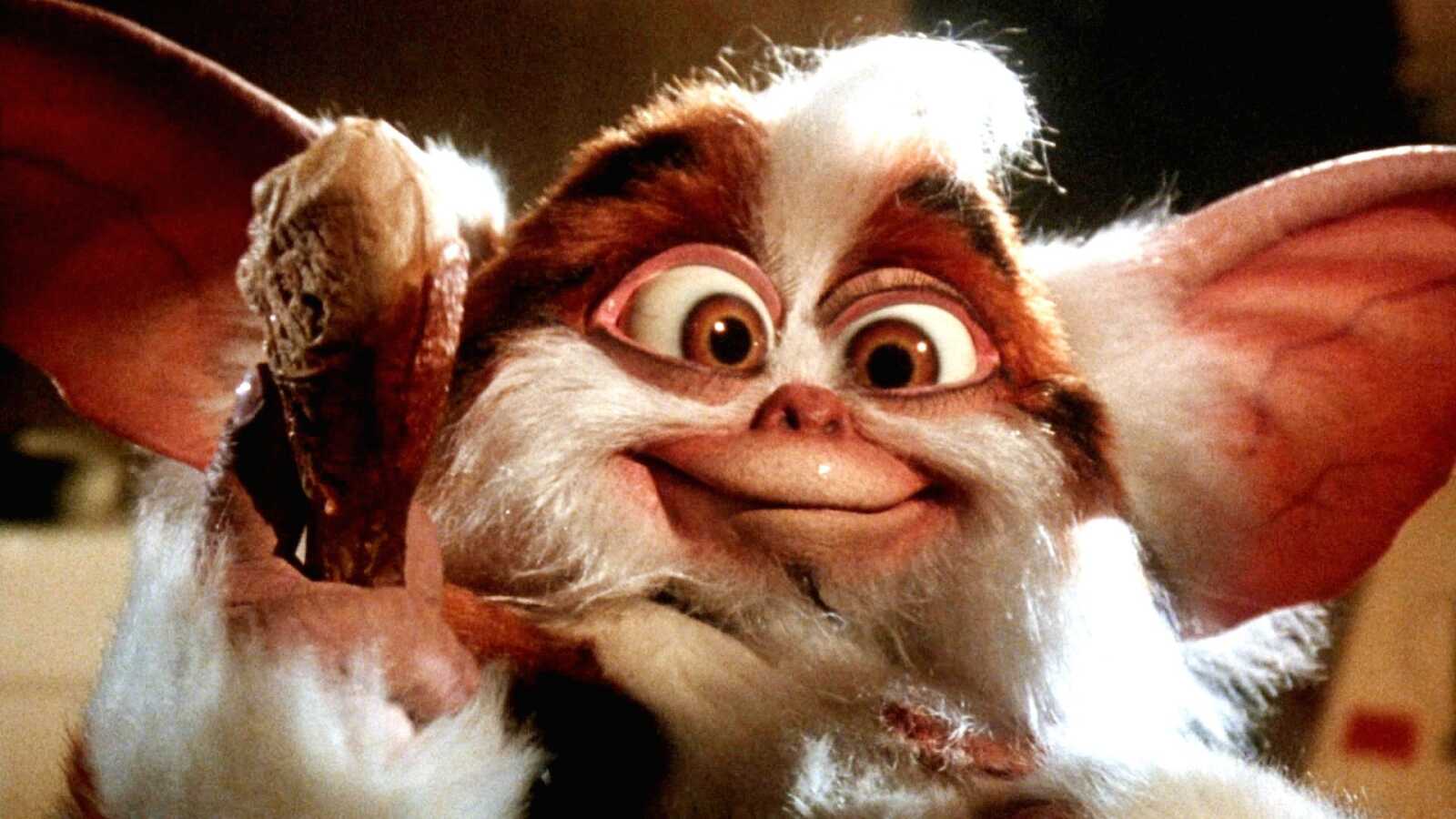 Gremlin Wallpapers (28 images) - WallpaperCat