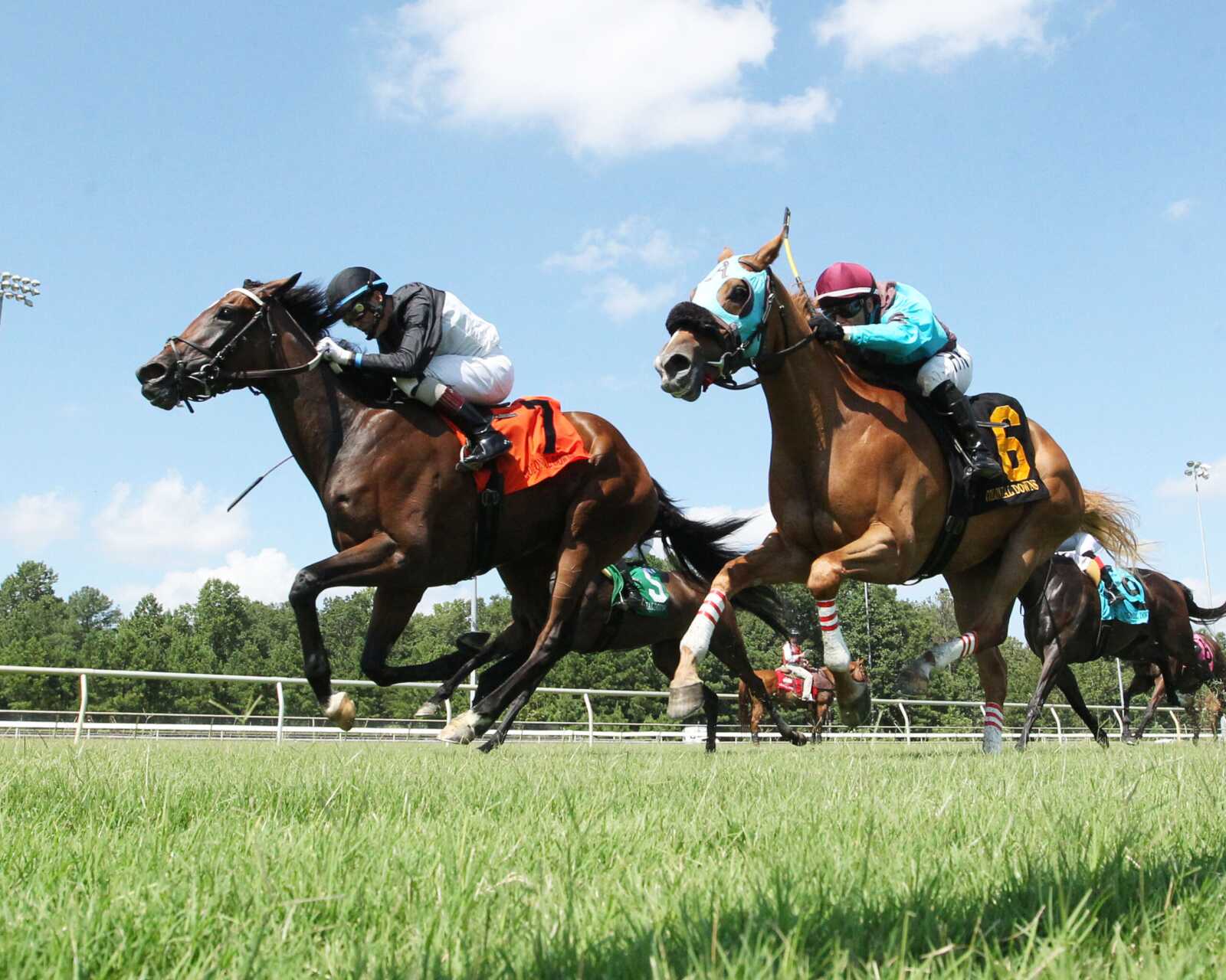 Horse Racing Wallpapers (65 images) - WallpaperCat