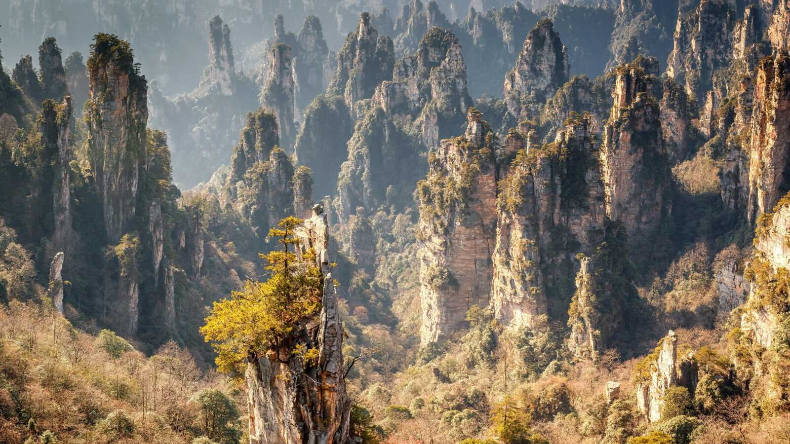 Zhangjiajie Wallpapers (58 images) - WallpaperCat