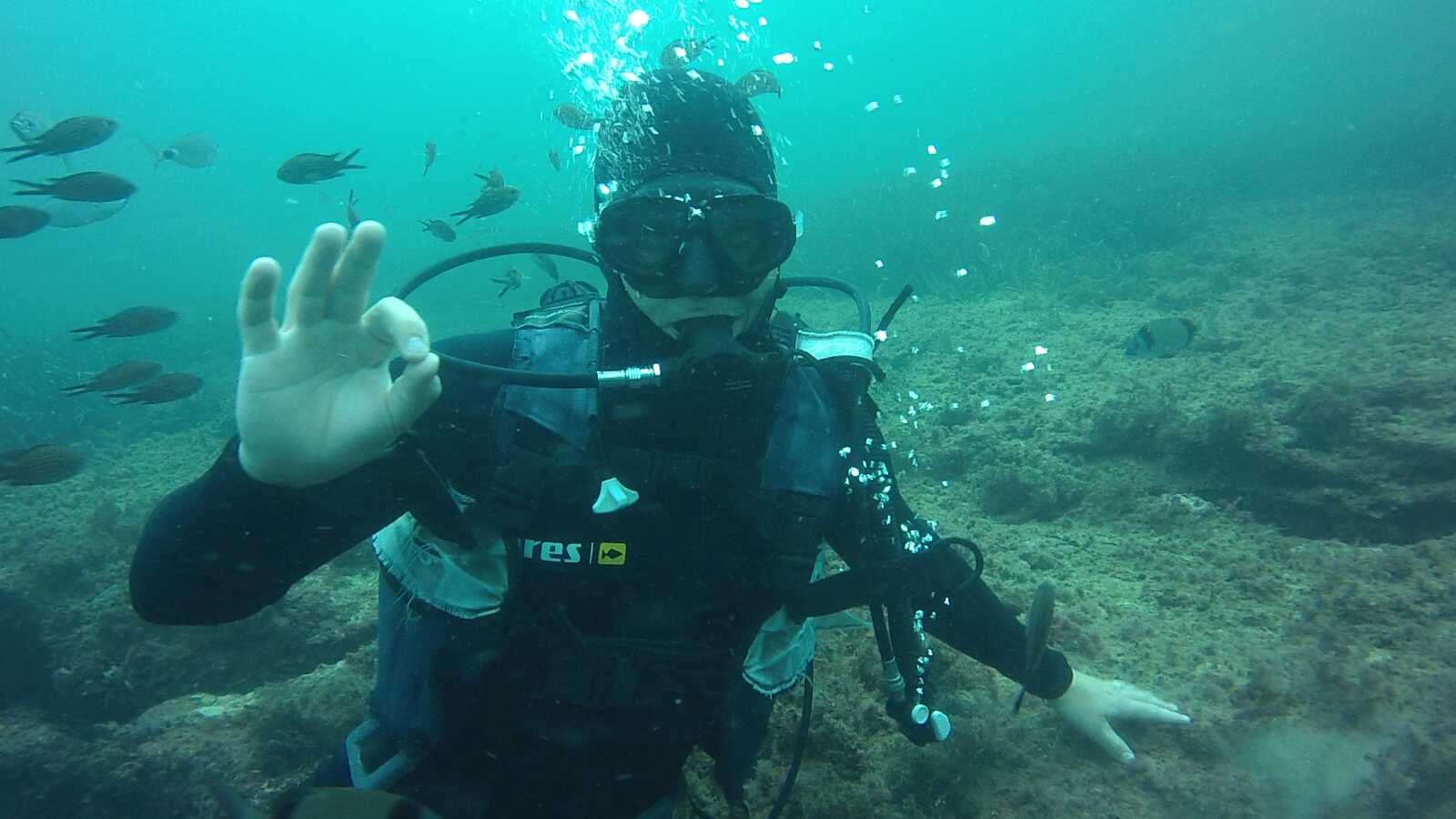 Diving Wallpapers (43 images) - WallpaperCat