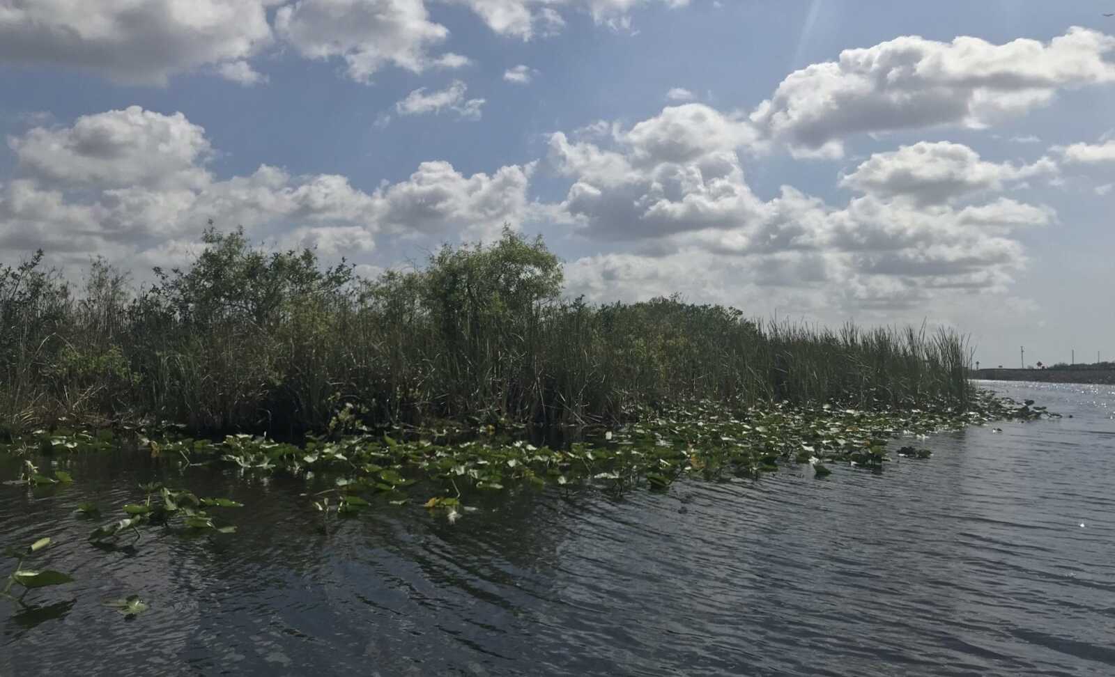 Everglades National Park Wallpapers (51 images) - WallpaperCat