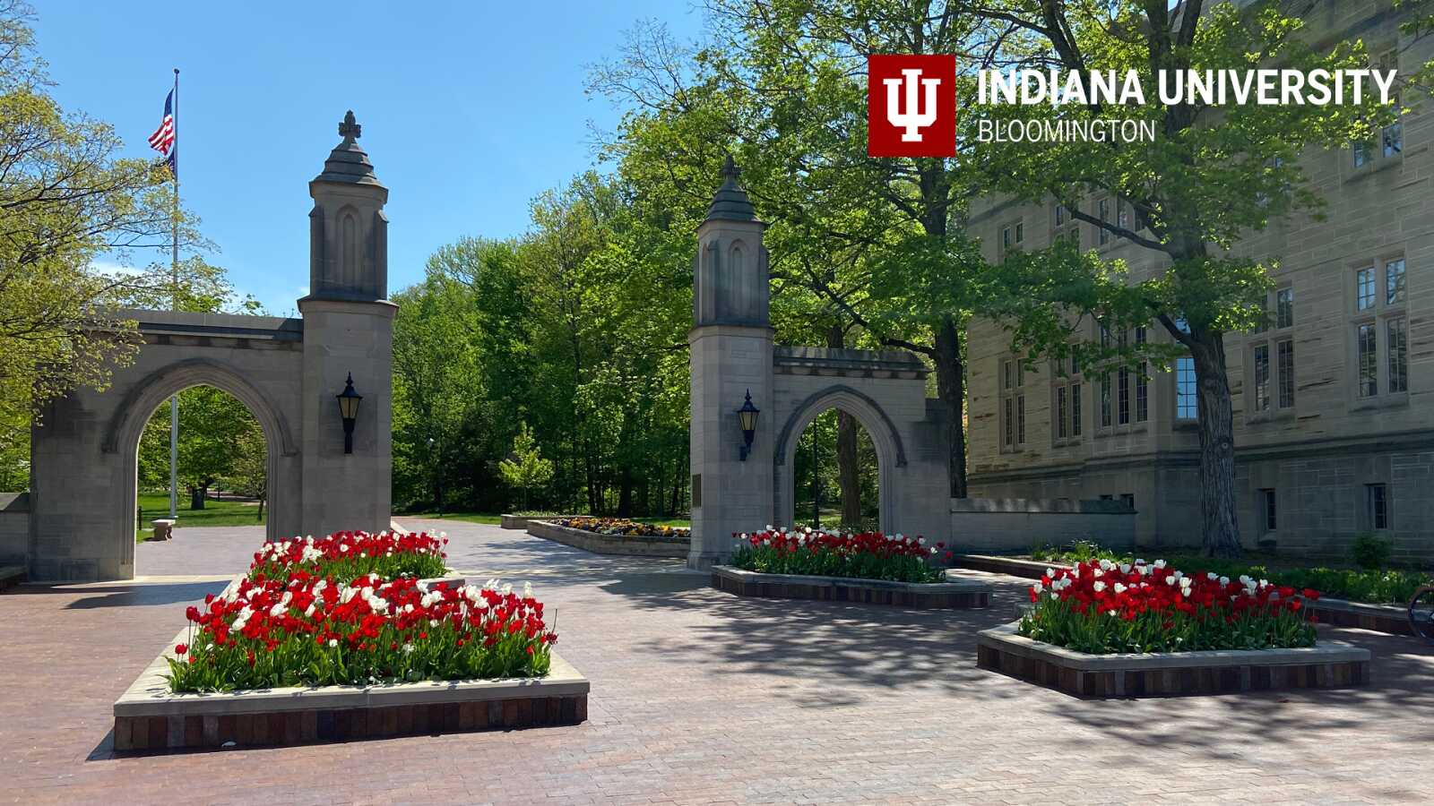 Indiana University Wallpapers (23 images) - WallpaperCat
