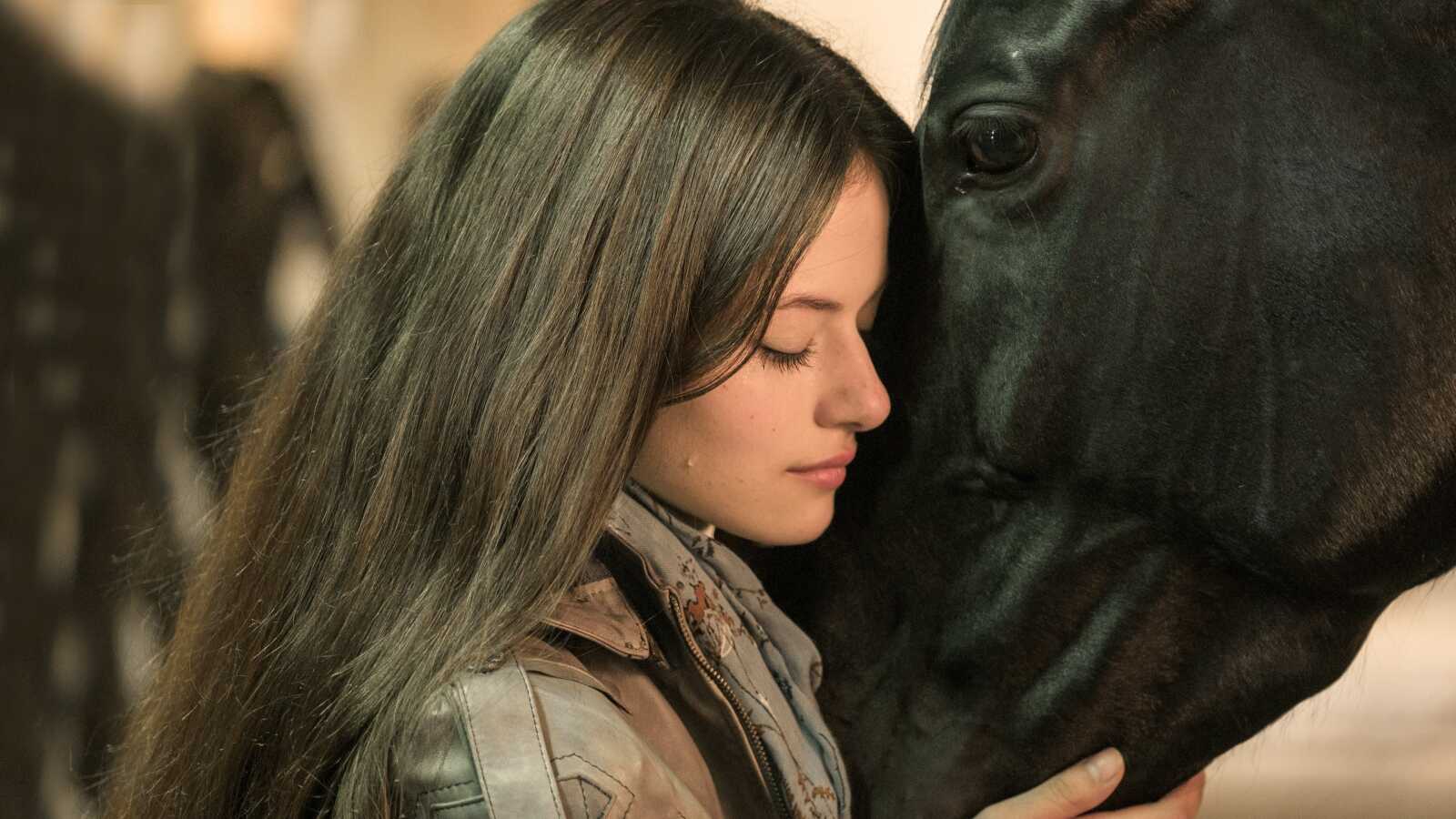 Black Beauty (Movie) Wallpapers (17 images) - WallpaperCat