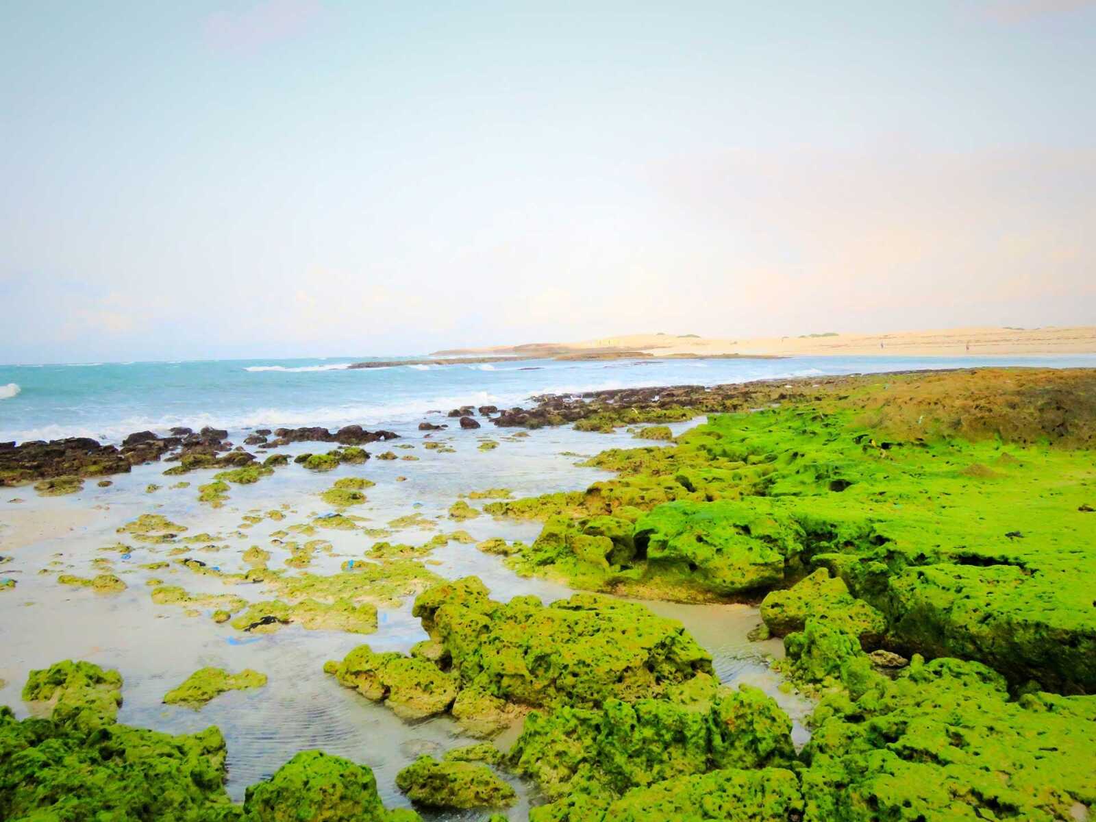 Somalia Wallpapers (25 images) - WallpaperCat