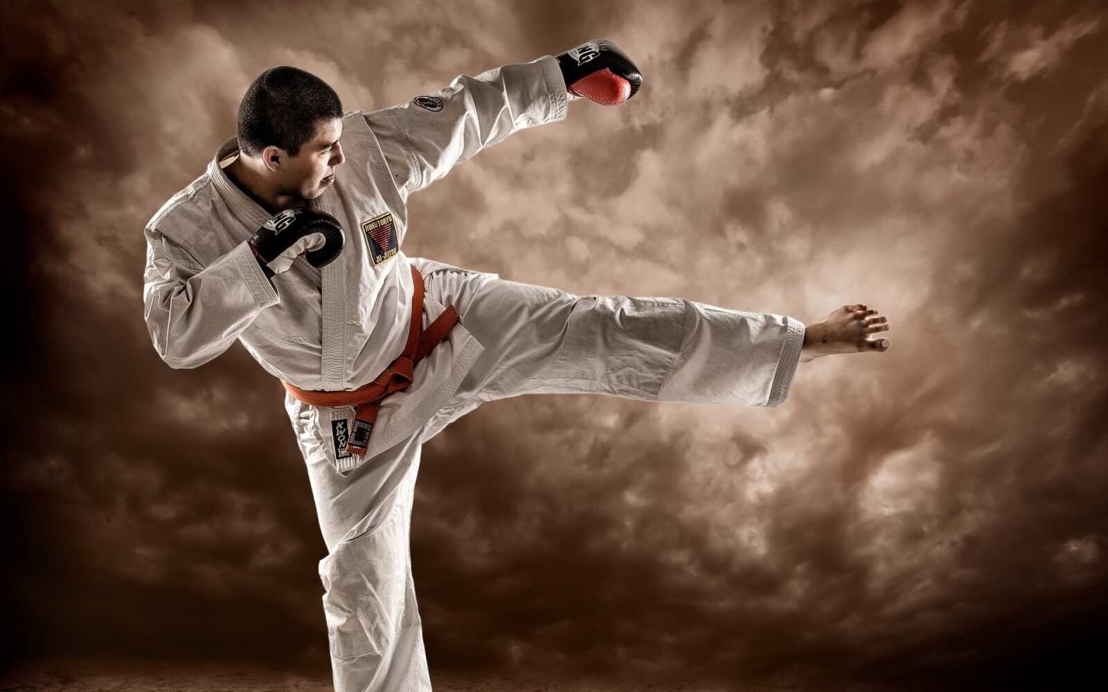Karate Wallpapers (29 images) - WallpaperCat
