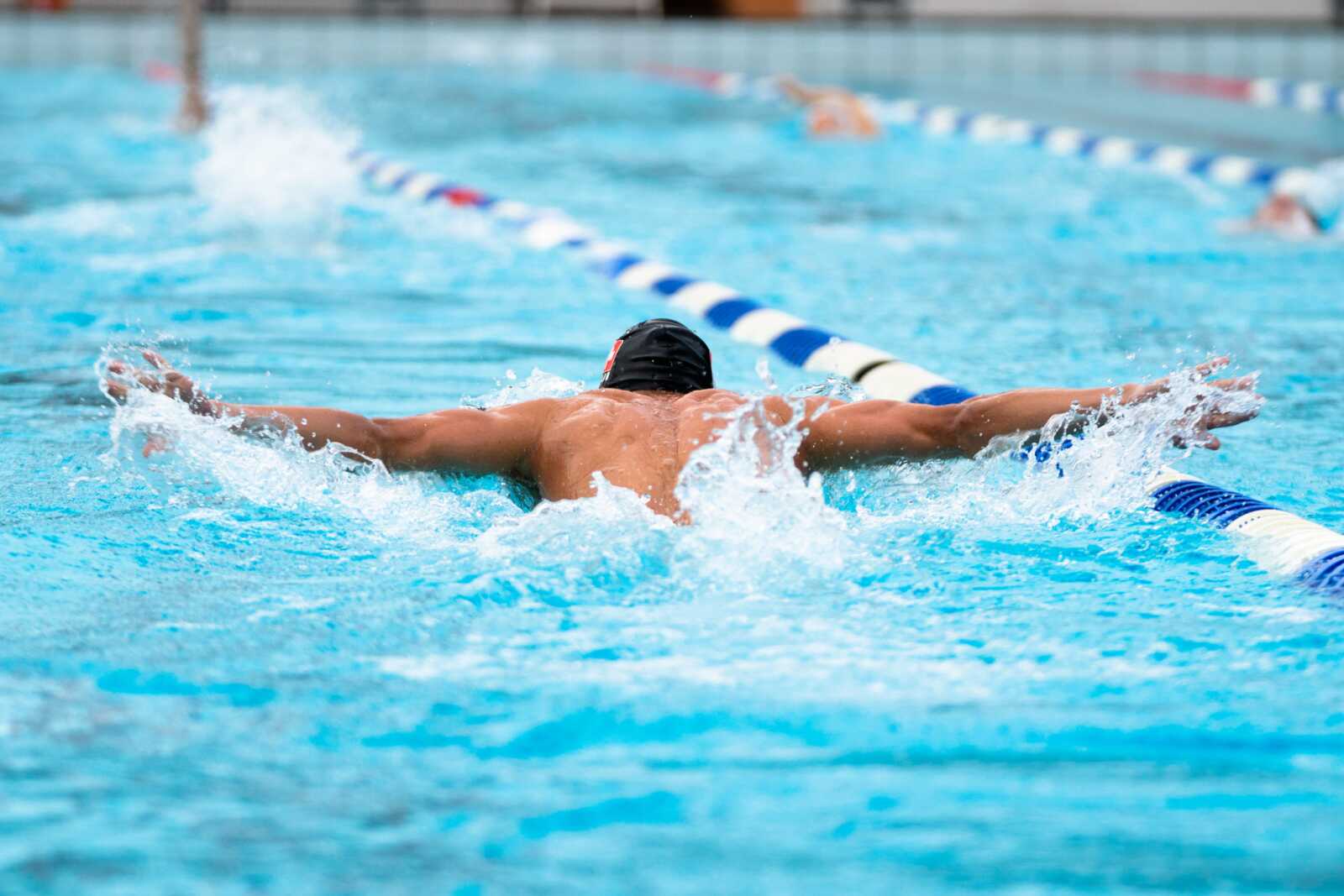 Swimming Wallpapers (43 images) - WallpaperCat