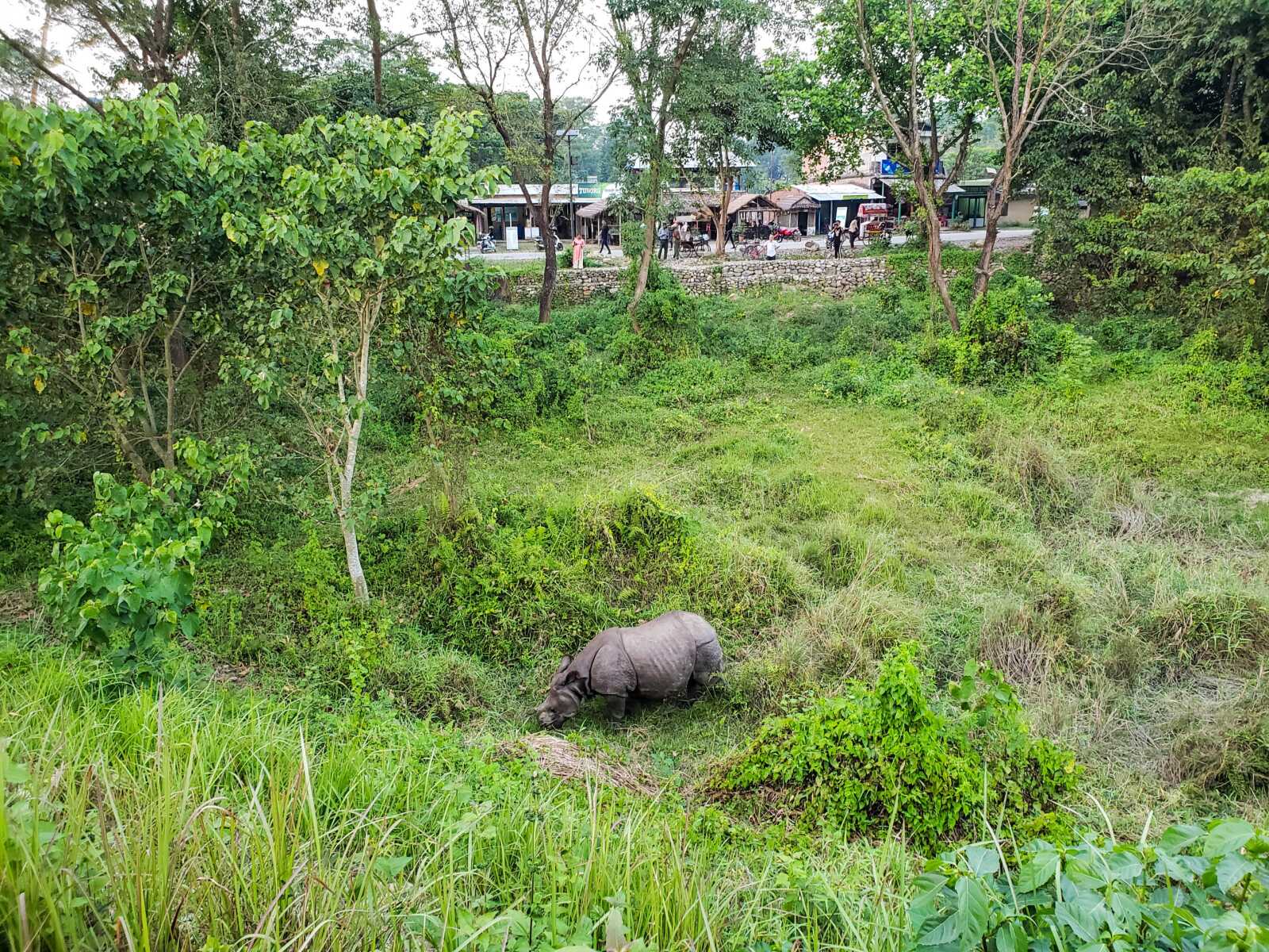 Chitwan National Park Wallpapers (23 images) - WallpaperCat