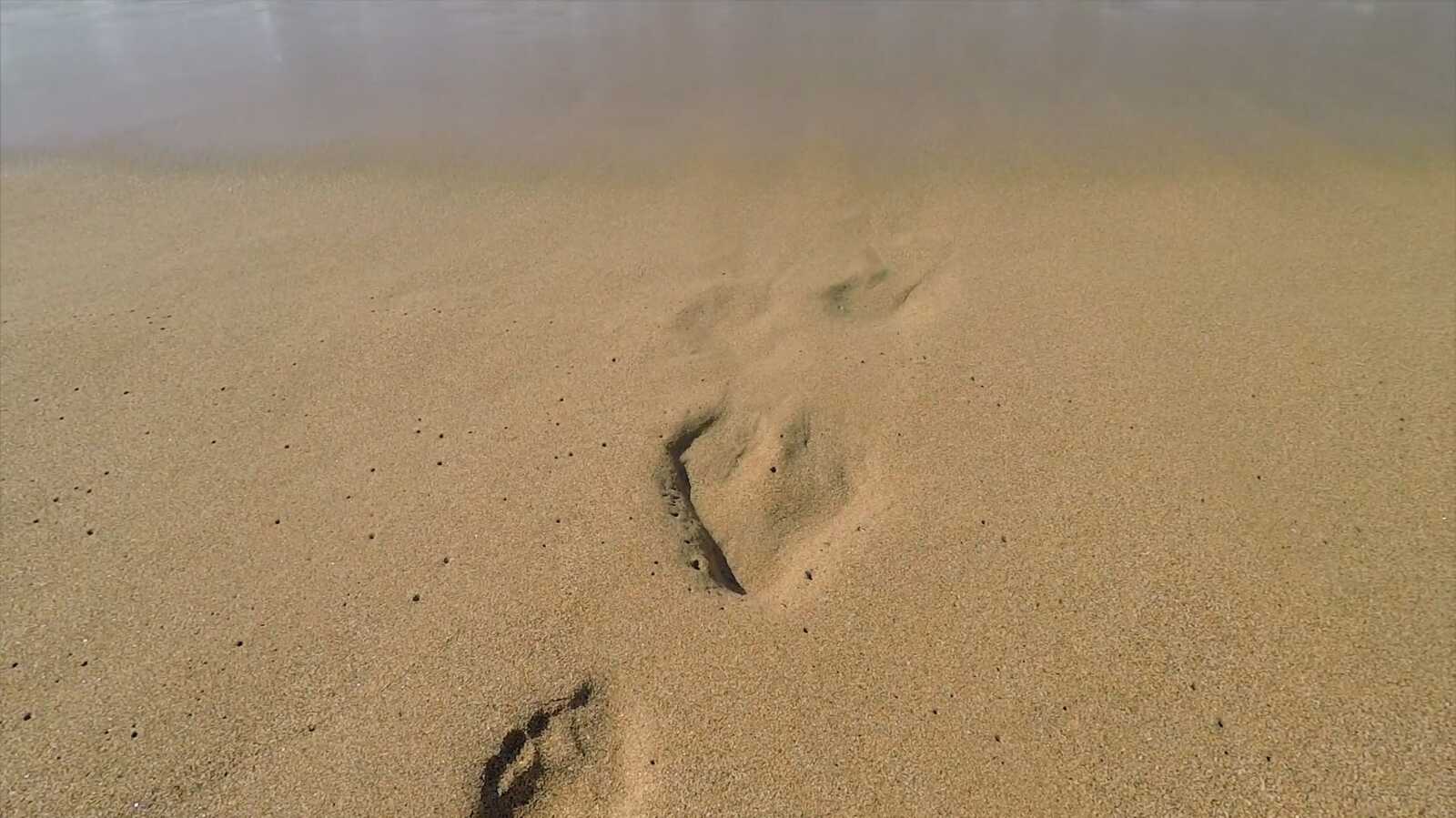 Footprints in the Sand Wallpapers (30 images) - WallpaperCat