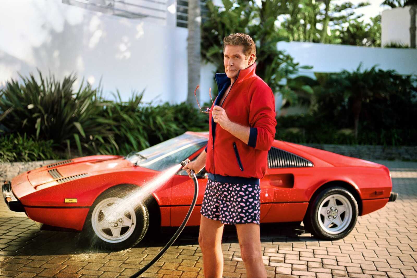 David Hasselhoff Wallpapers (37 images) - WallpaperCat