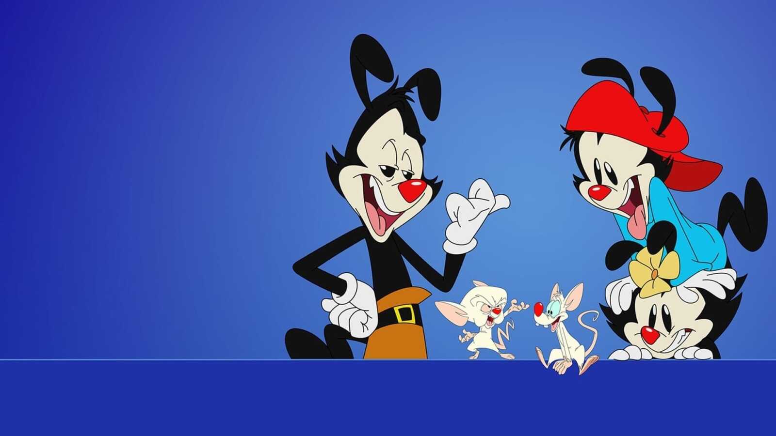 Animaniacs Wallpapers (27 images) - WallpaperCat