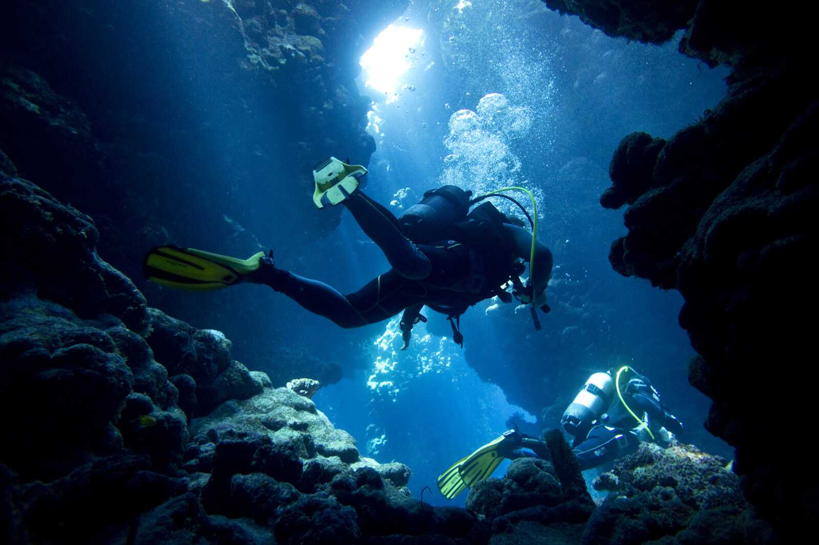 Diving Wallpapers (43 images) - WallpaperCat