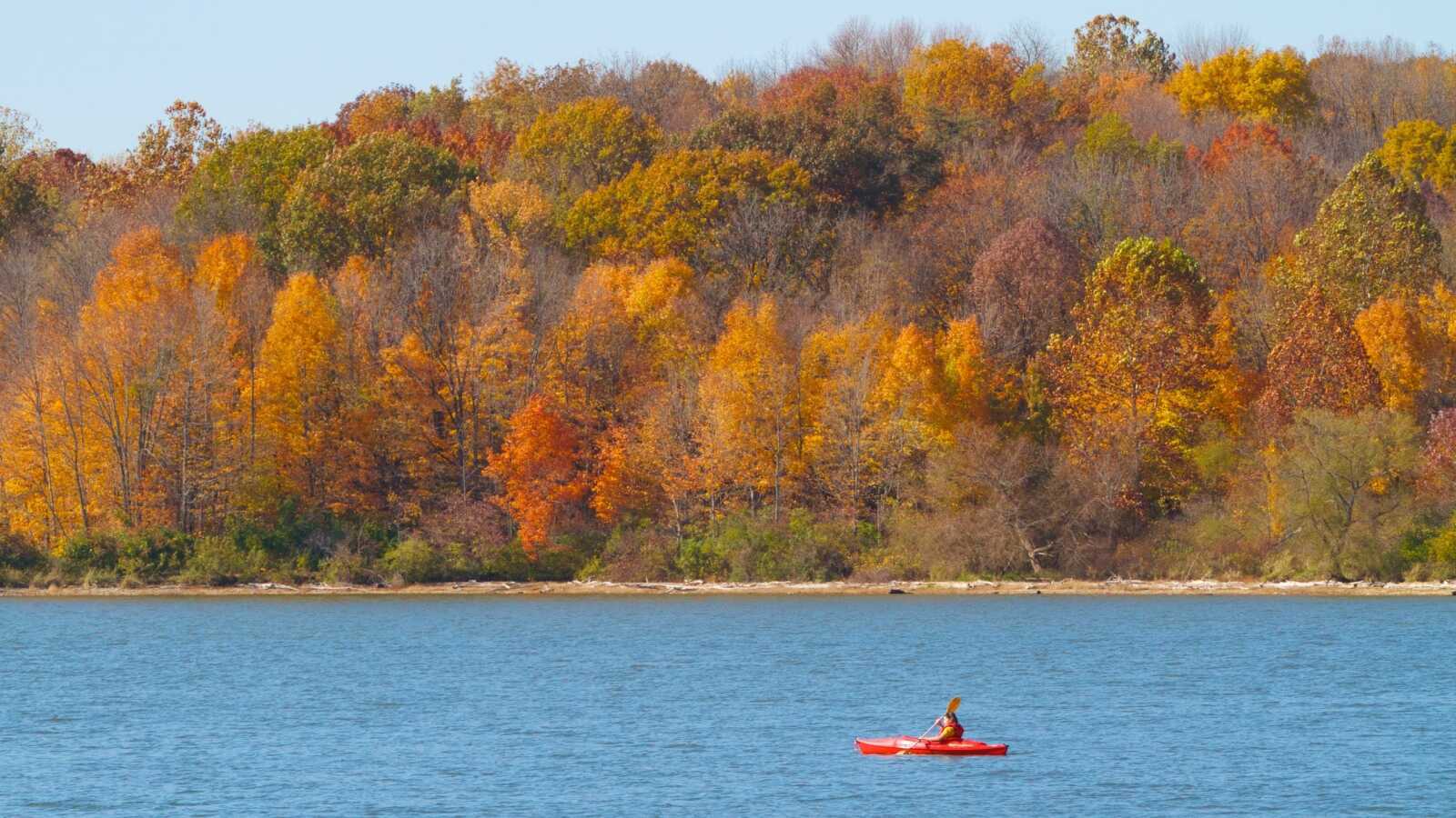 Indiana Wallpapers (21 images) - WallpaperCat