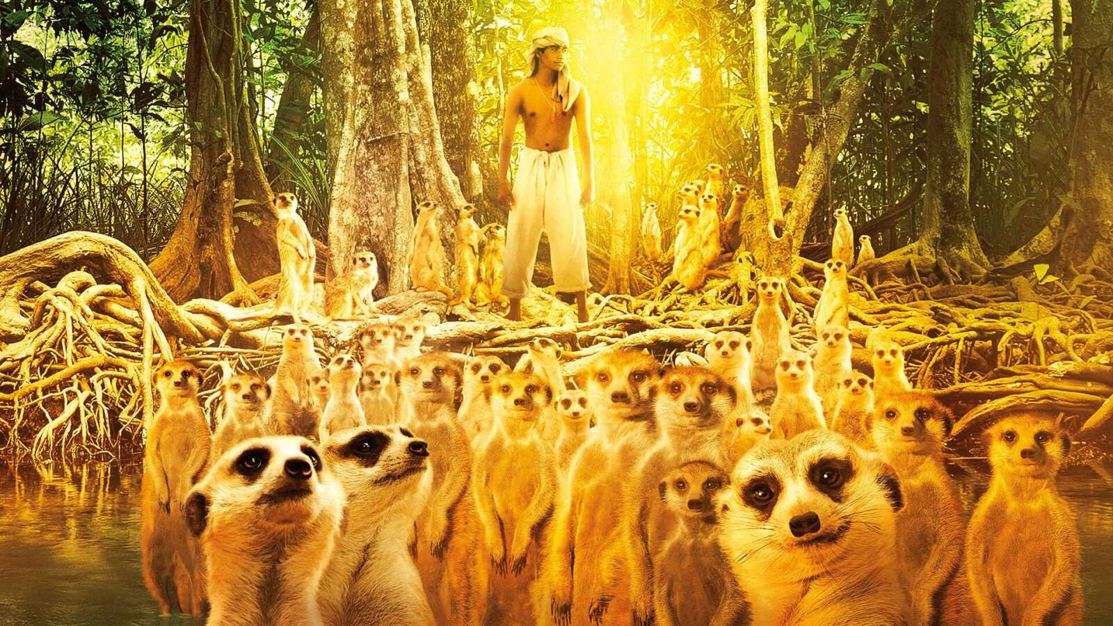 Life of Pi Wallpapers (35 images) - WallpaperCat