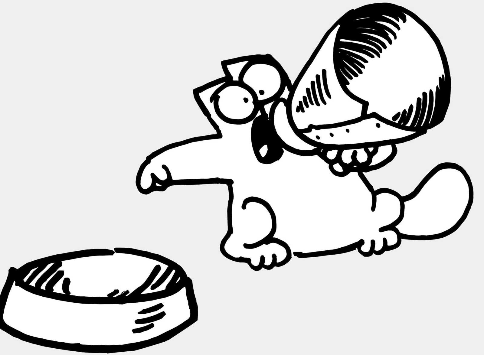 Simon's cat Wallpapers (46 images) - WallpaperCat