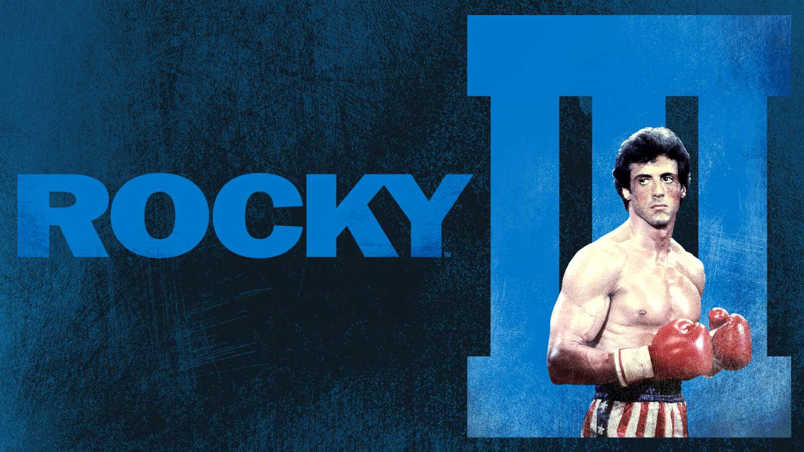 Rocky Wallpapers (27 images) - WallpaperCat