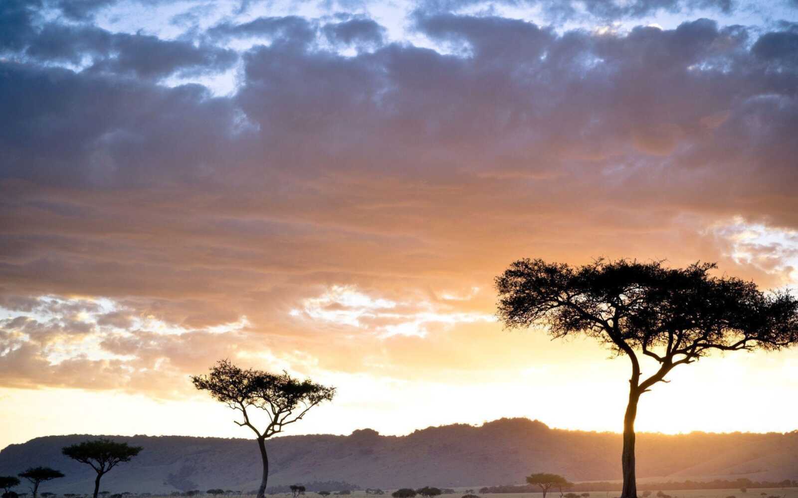 Kenya Wallpapers (40 images) - WallpaperCat
