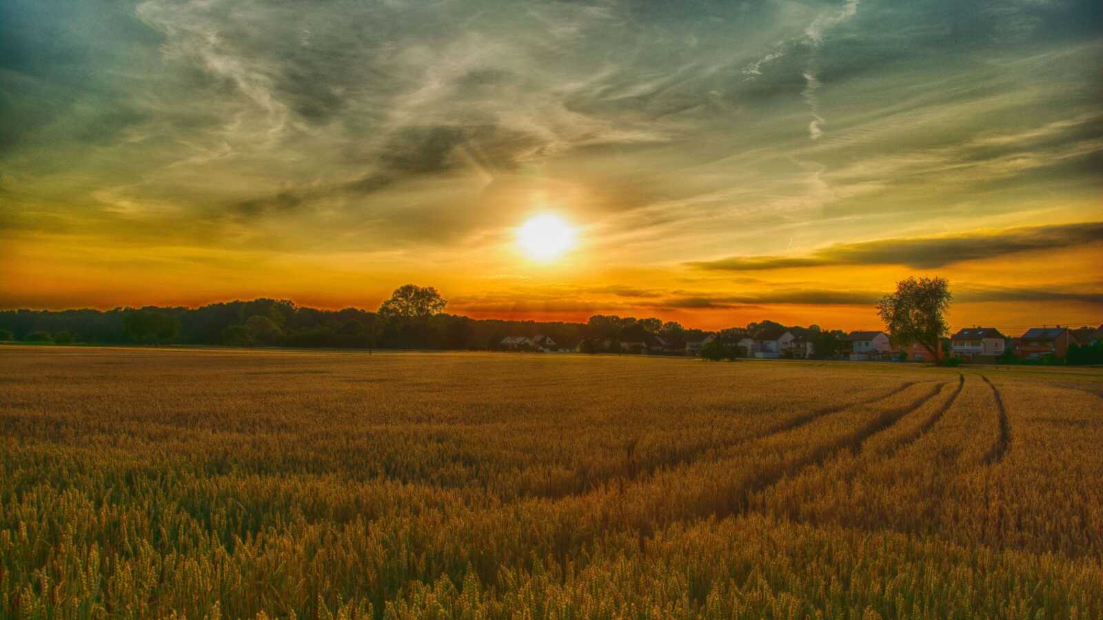 Farm Wallpapers (97 images) - WallpaperCat