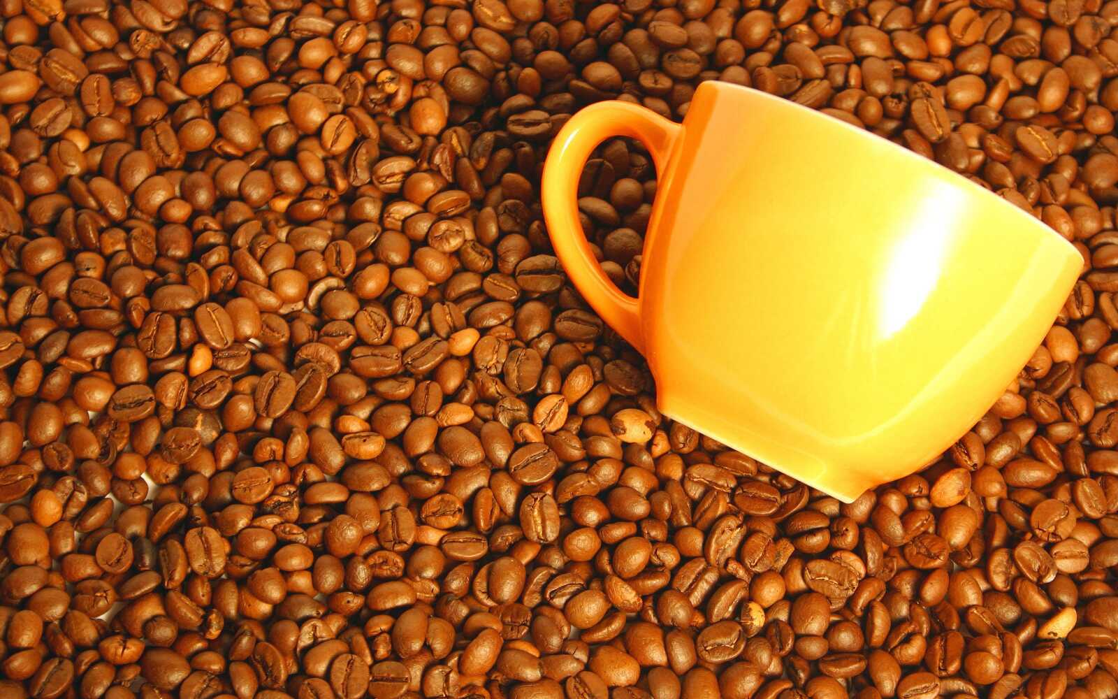 Cup Wallpapers (71 images) - WallpaperCat