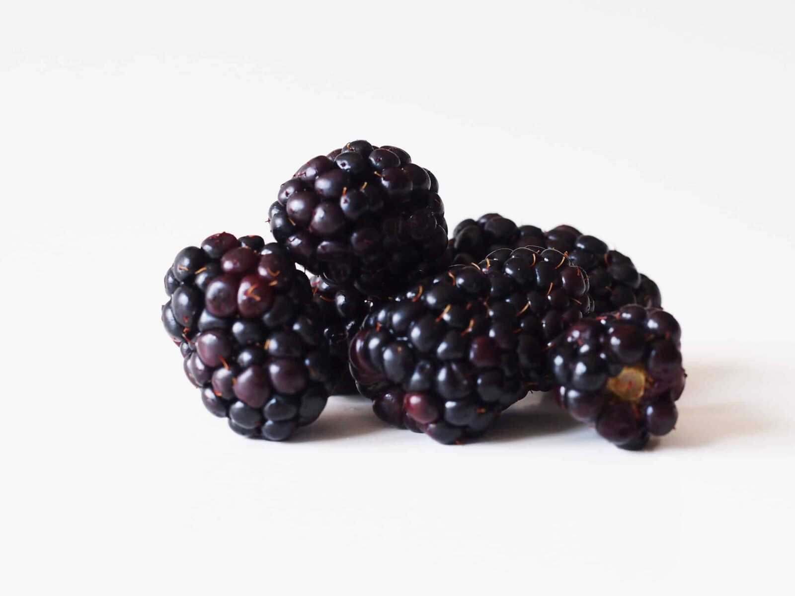Blackberry Wallpapers (39 images) - WallpaperCat