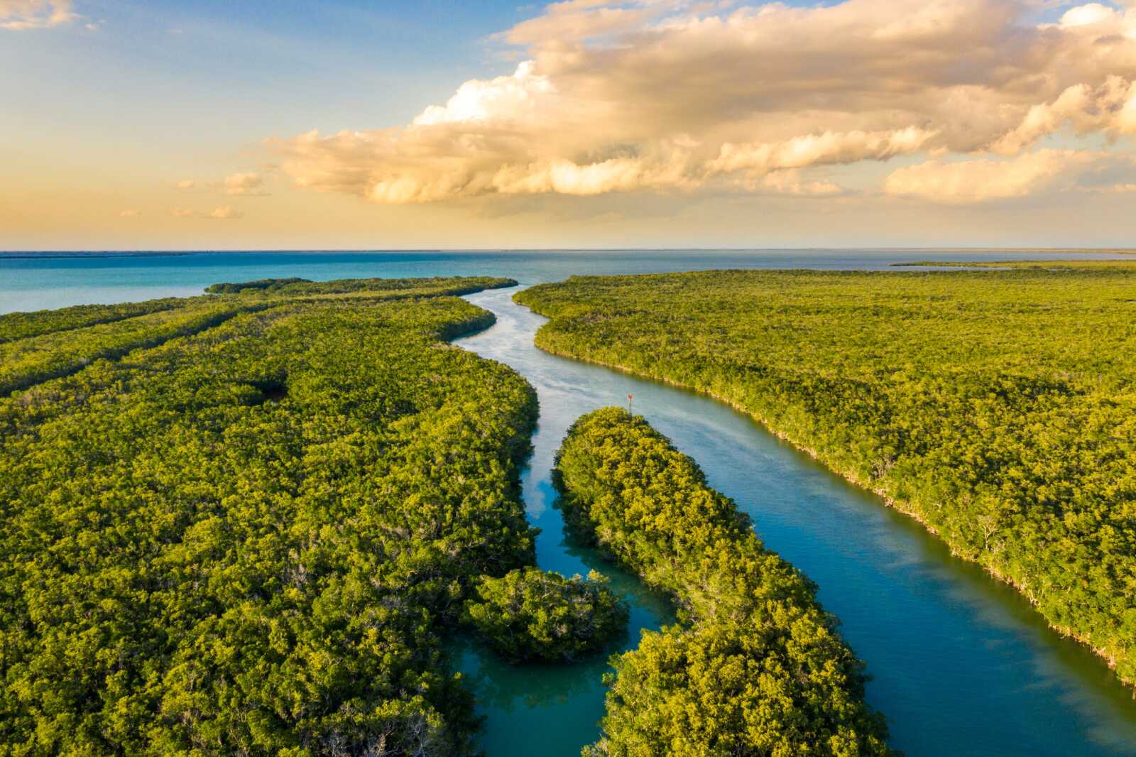 Everglades National Park Wallpapers (51 images) - WallpaperCat