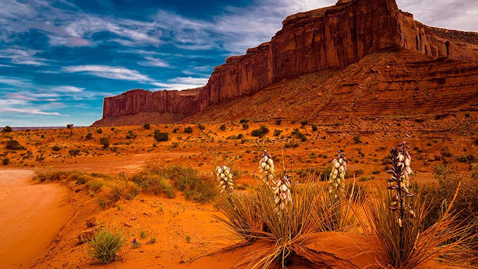 Arizona Wallpapers (48 images) - WallpaperCat