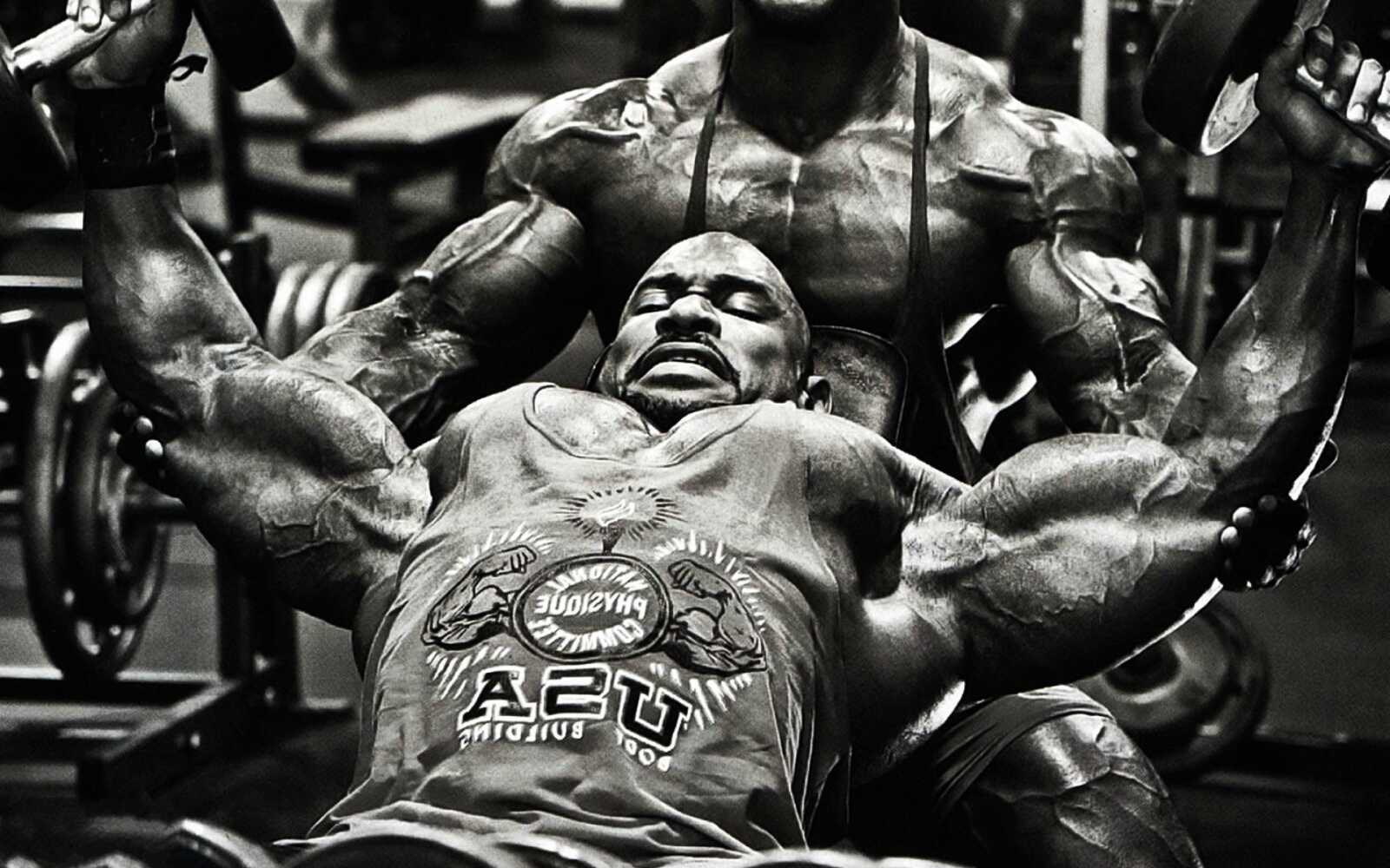 Bodybuilding Wallpapers (38 images) - WallpaperCat