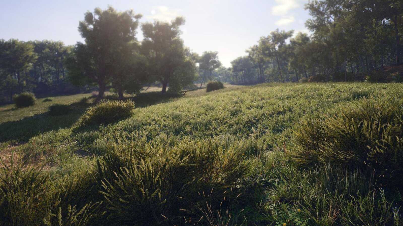 SCUM (Game) Wallpapers (34 images) - WallpaperCat