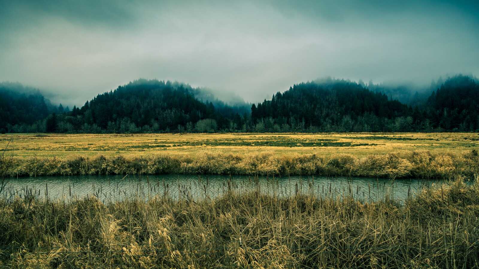 Oregon Wallpapers (45 images) - WallpaperCat