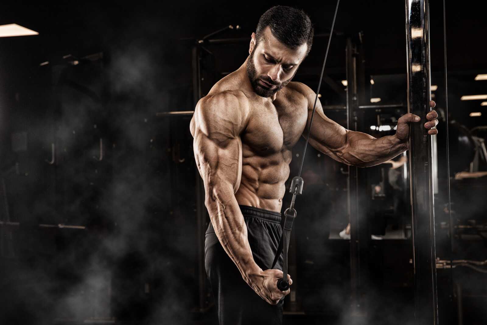 Bodybuilding Wallpapers (38 images) - WallpaperCat