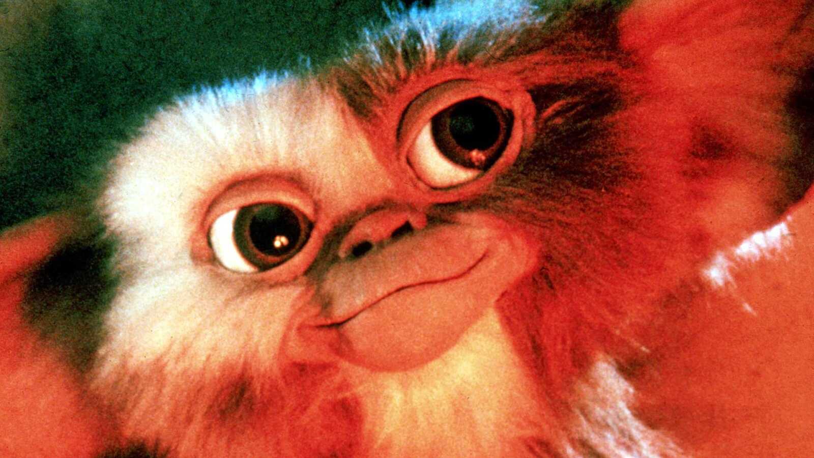 Gremlin Gizmo Wallpapers (26 images) - WallpaperCat