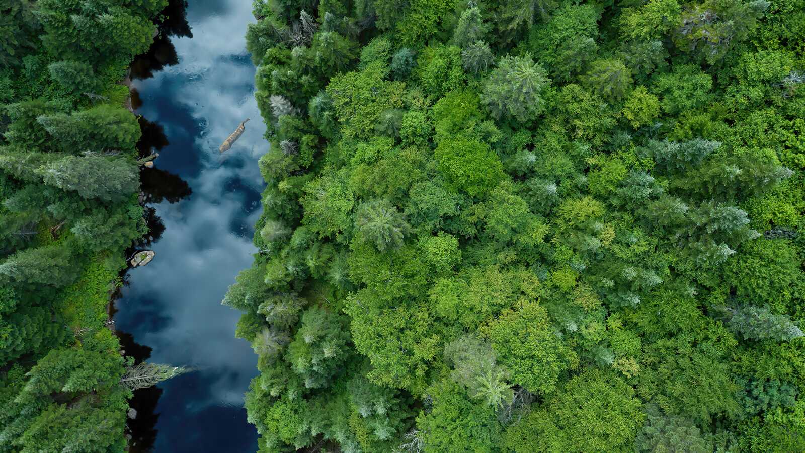 River Wallpapers (37 images) - WallpaperCat