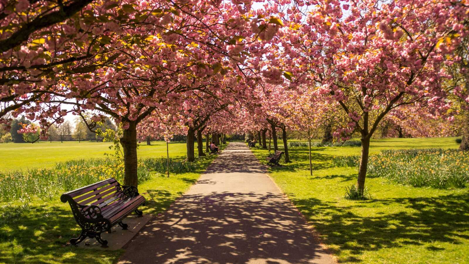 Park Wallpapers (32 images) - WallpaperCat
