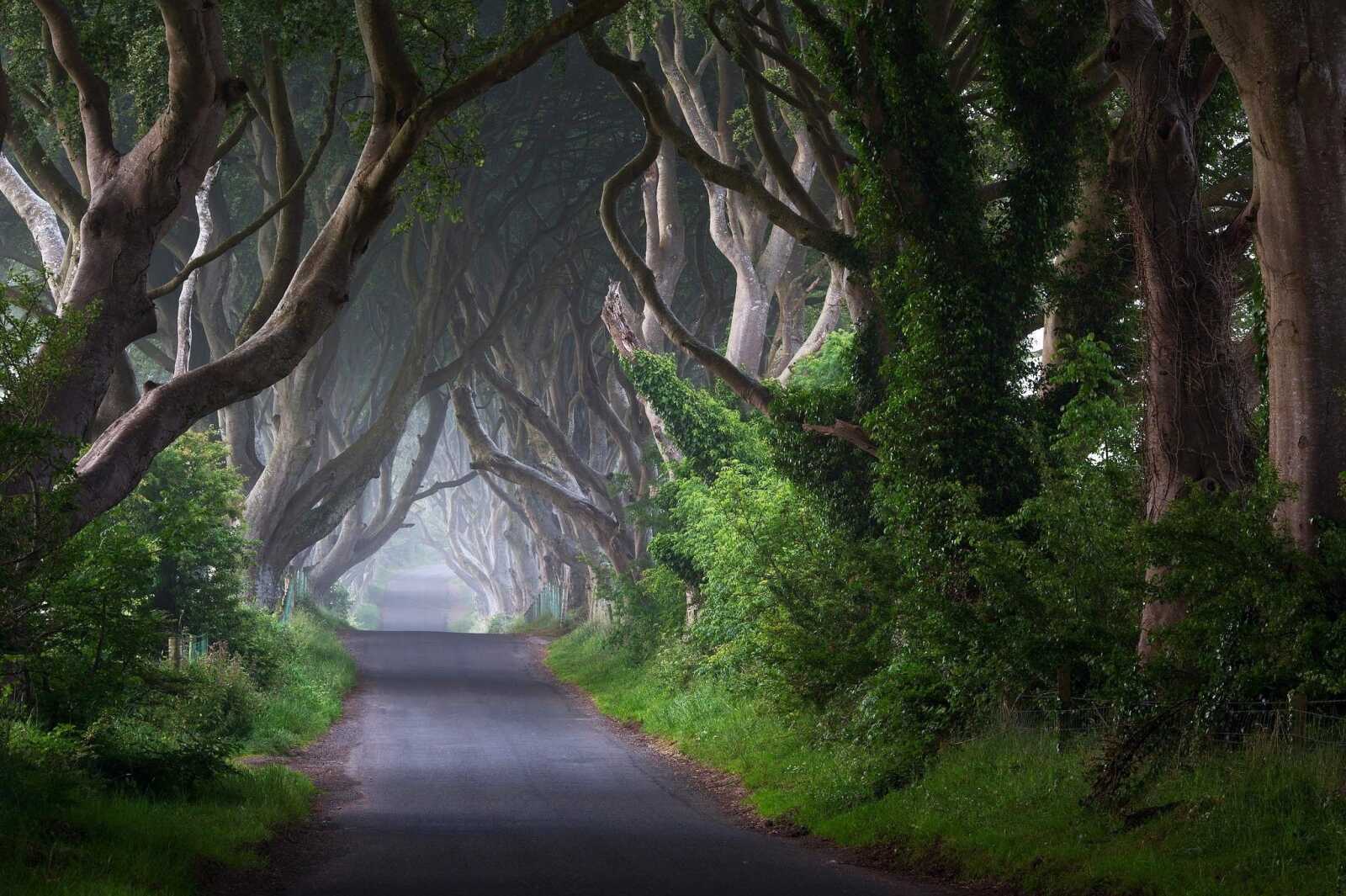 Irish Countryside Wallpapers (43 images) - WallpaperCat