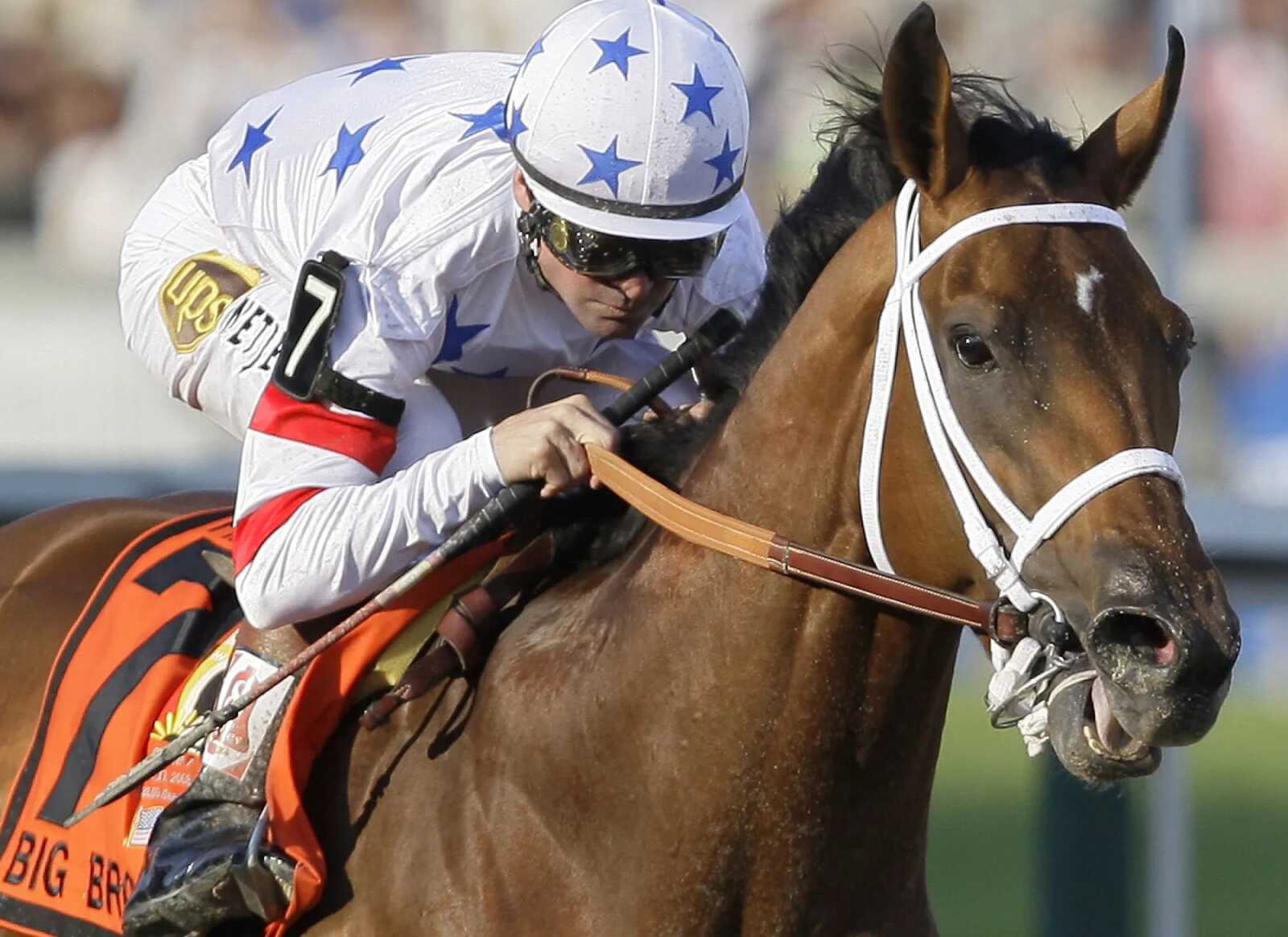 Kentucky Derby Wallpapers (49 images) - WallpaperCat