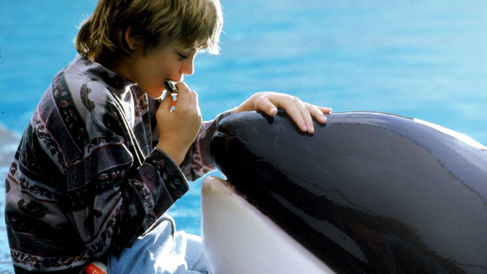 Free Willy Wallpapers (23 images) - WallpaperCat