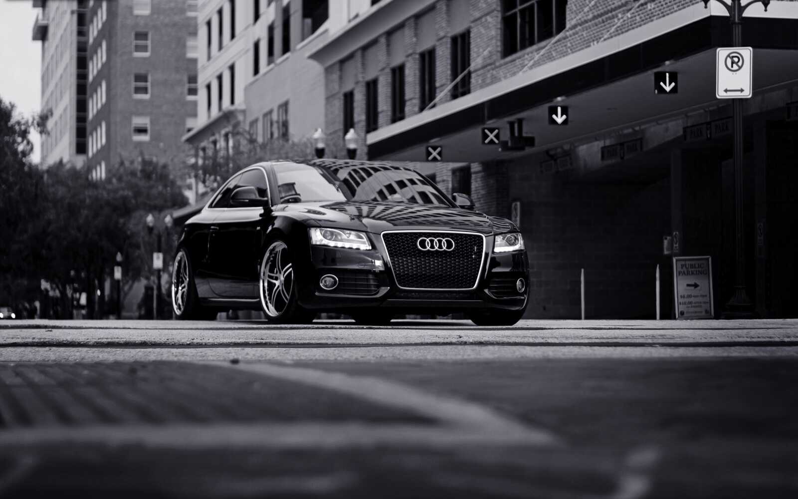 Audi Wallpapers (93 images) - WallpaperCat
