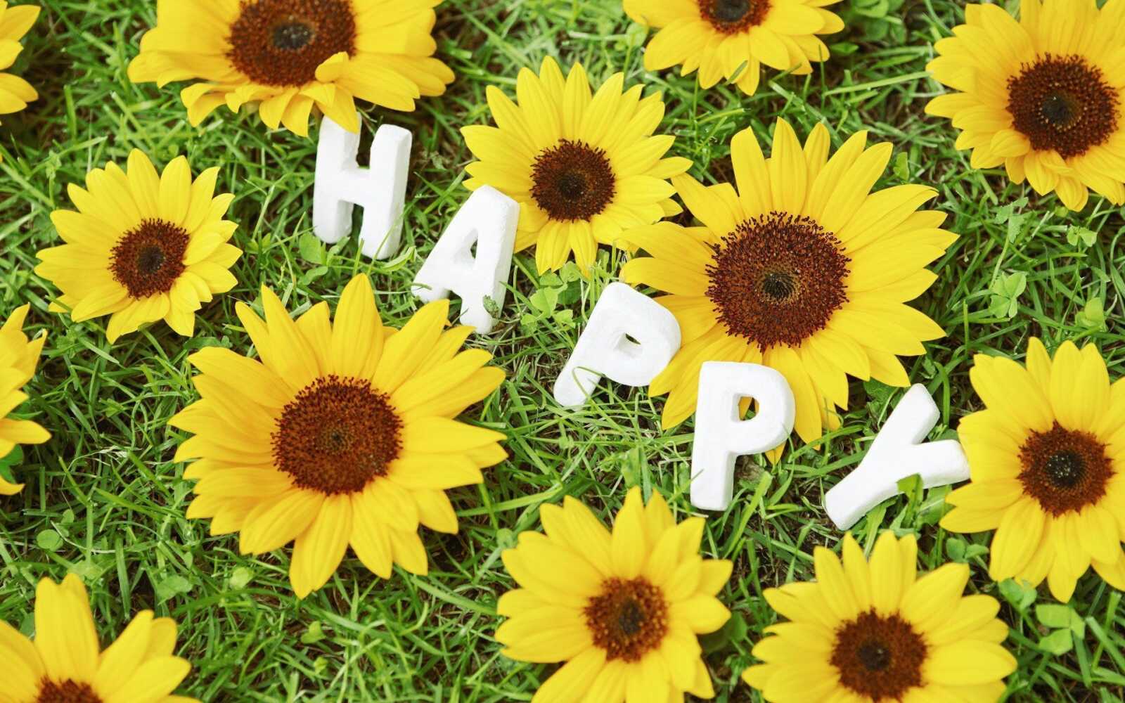 Happy Wallpapers (46 images) - WallpaperCat