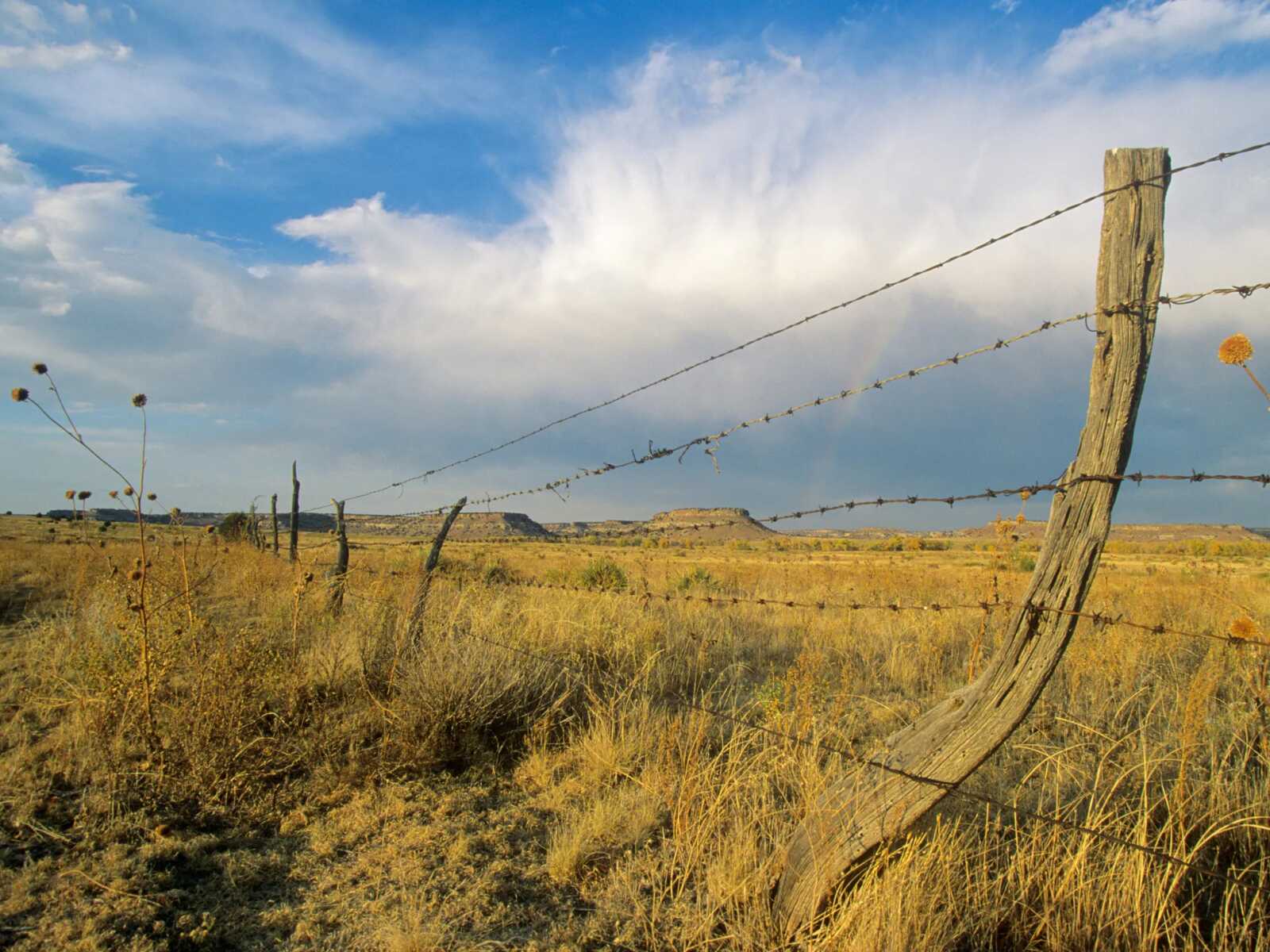 Oklahoma Wallpapers (18 images) - WallpaperCat