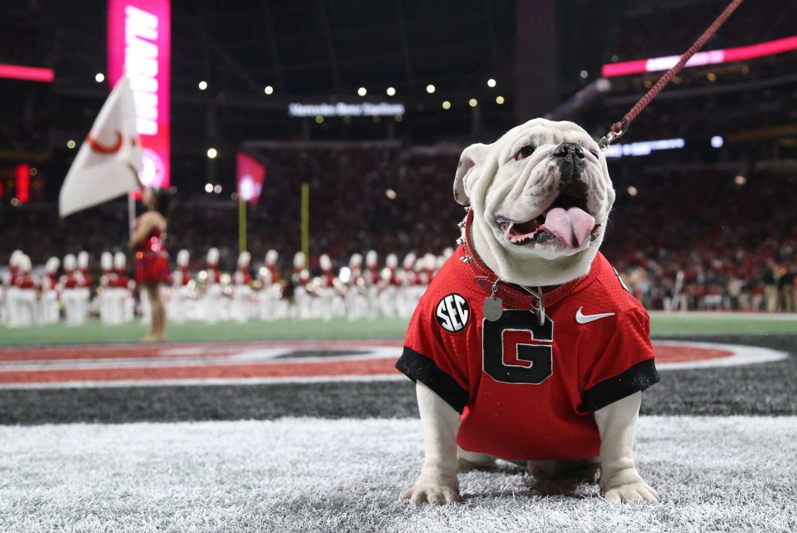 Georgia Bulldogs Wallpapers (47 images) - WallpaperCat