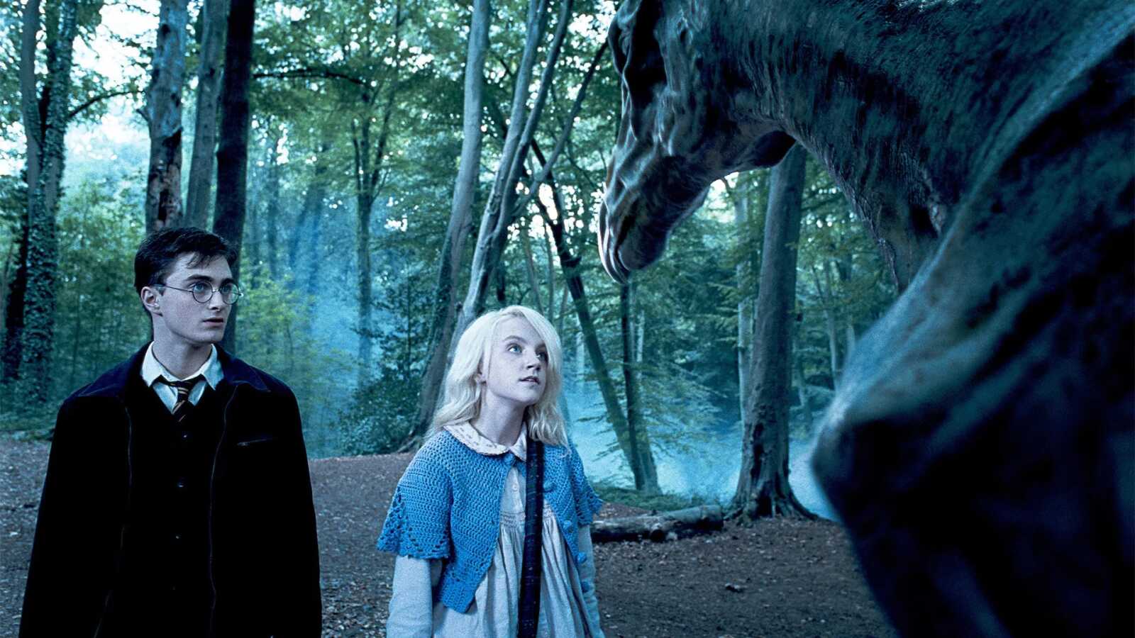 The Order of the Phoenix Wallpapers (40 images) - WallpaperCat