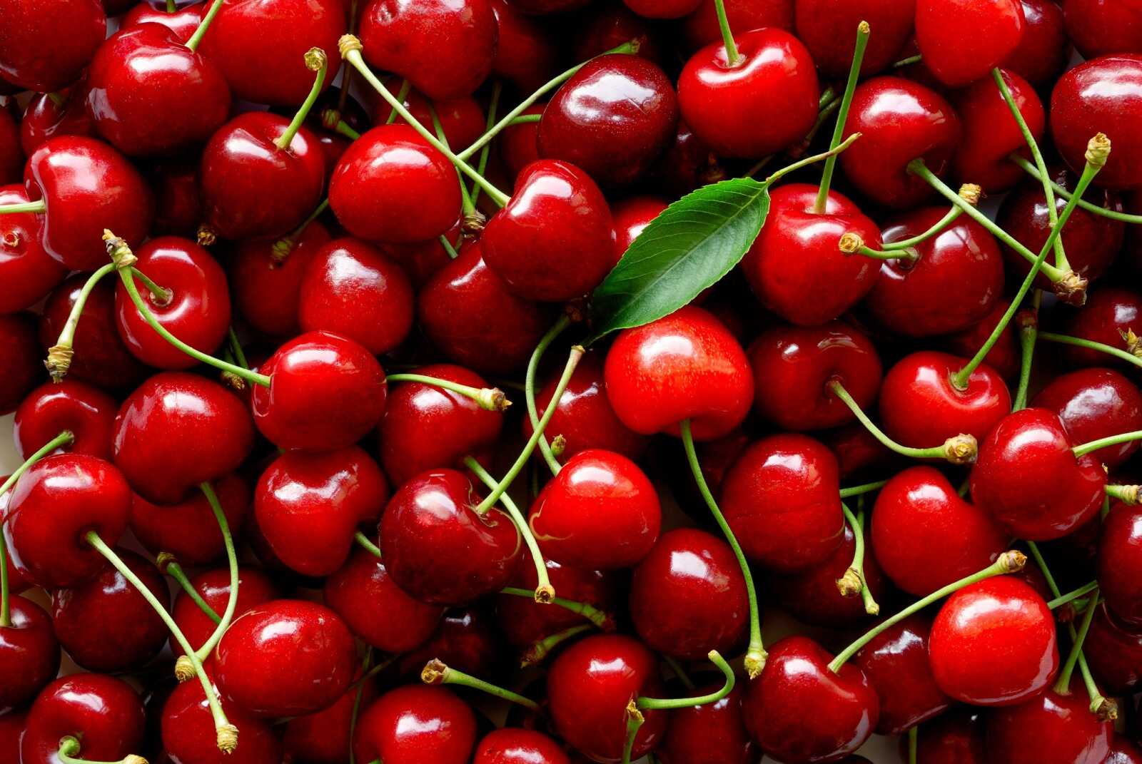 Cherry Wallpapers (46 images) - WallpaperCat