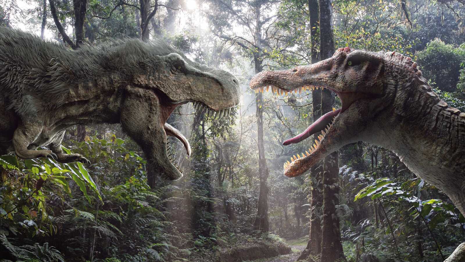 Spinosaurus Wallpapers (23 images) - WallpaperCat